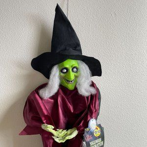 Sunstar Industries | Holiday | Sunstar Industries Halloween Witch Eyes ...